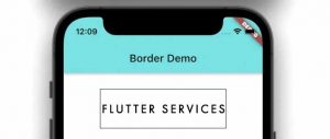 How To Add Border To Container in Flutter? 5 Easy Tricks in 2023