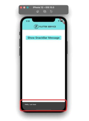 How To Show Flutter Toast Message | 2 Easy Ways in 2023
