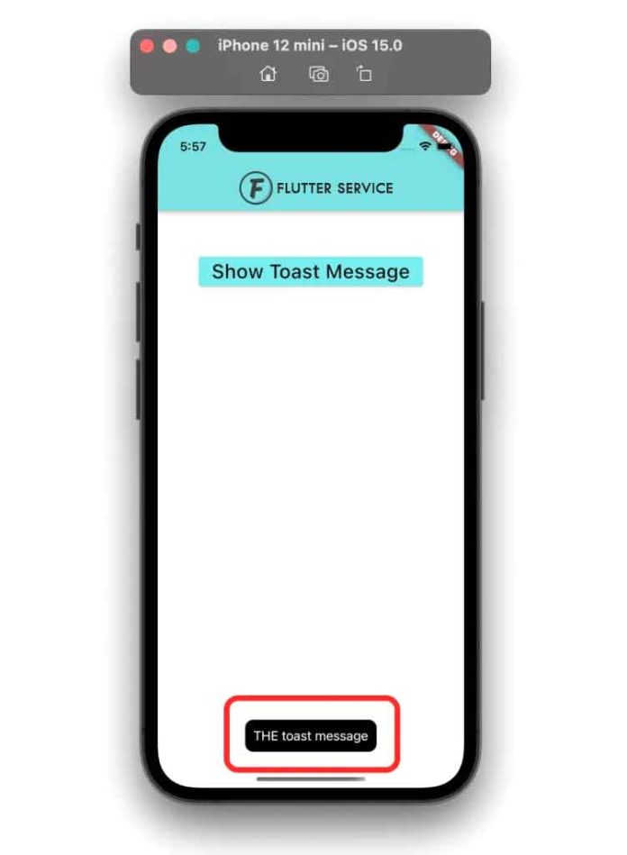 How To Show Flutter Toast Message | 2 Easy Ways in 2023